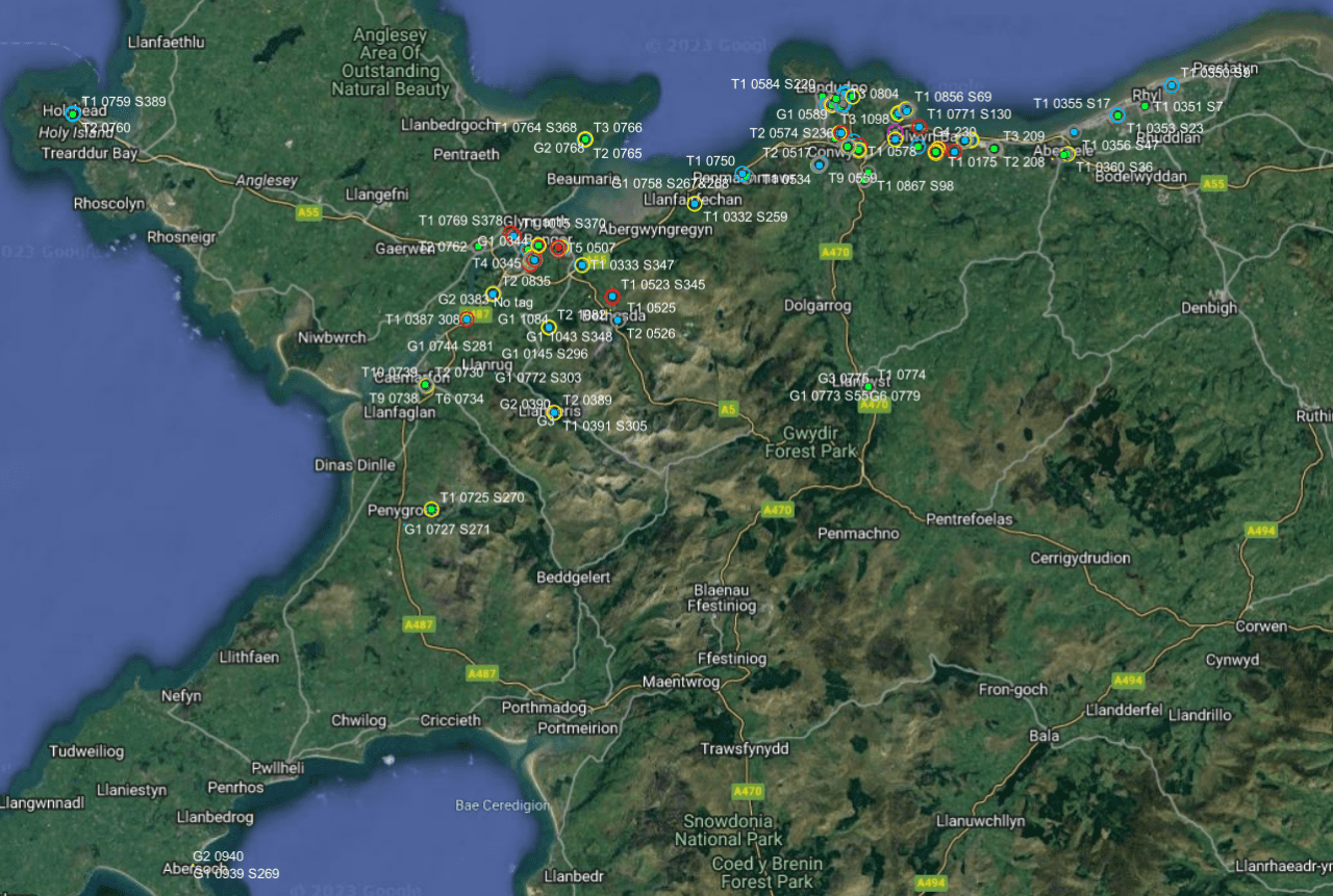 Surveying - Eryri Arboriculture Ltd.