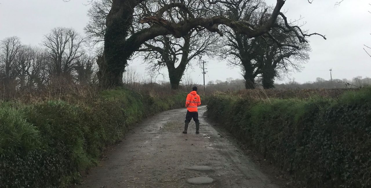 Home - Eryri Arboriculture